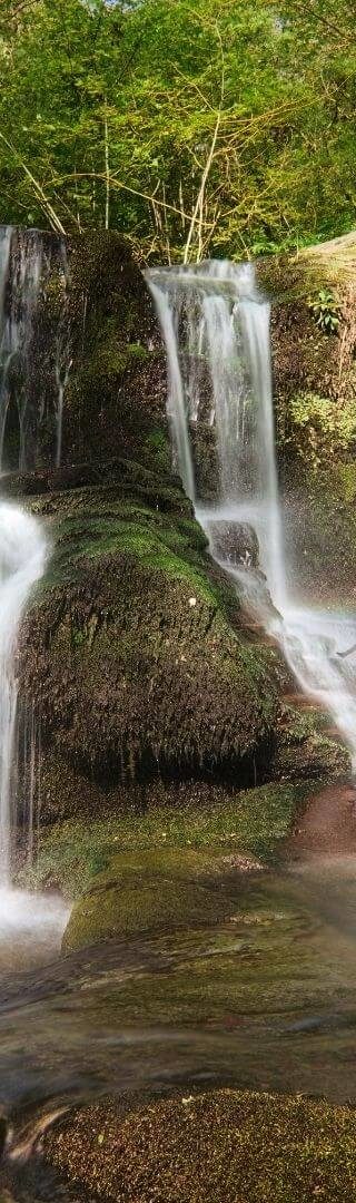 Black Spout Wood & Waterfall | Waterfalls in Scotland | Scotlands Spa Hotel